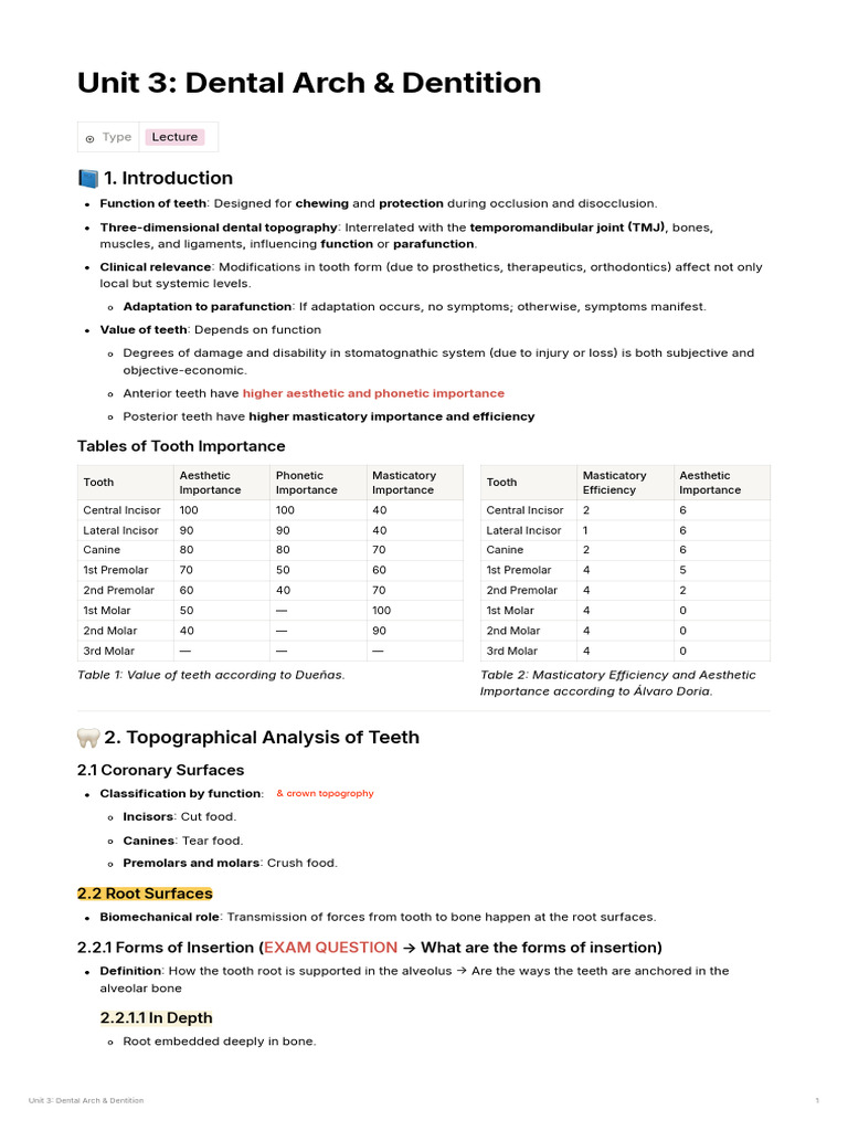 Dental Arch and Tooth Function Analysis | PDF | Dental Anatomy | Tooth