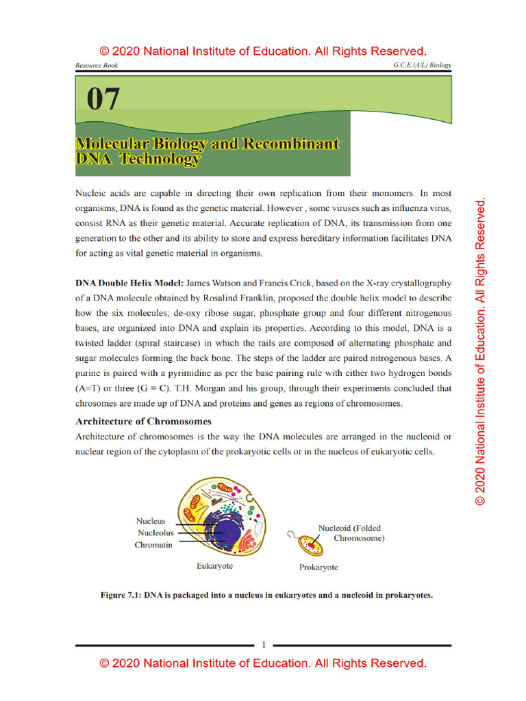 Unit 07-Molecular Biology and Recombinant DNA Technology-English | PDF