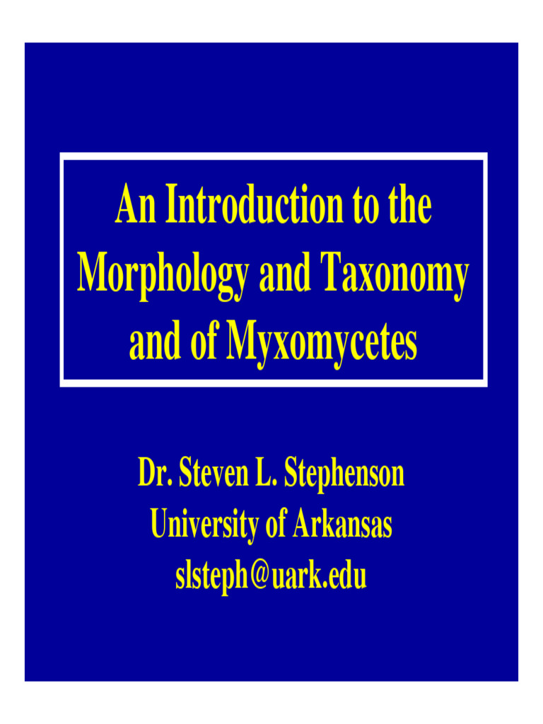 Morpho Tax | PDF