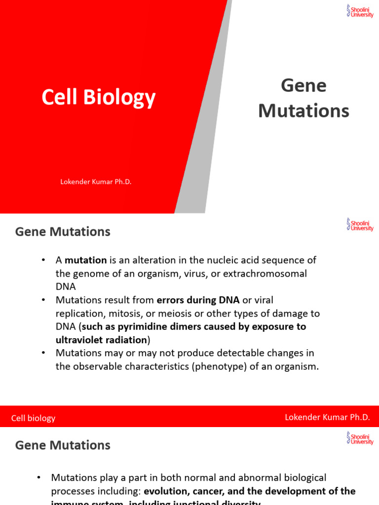 Gene Mutations | PDF | Mutation | Point Mutation