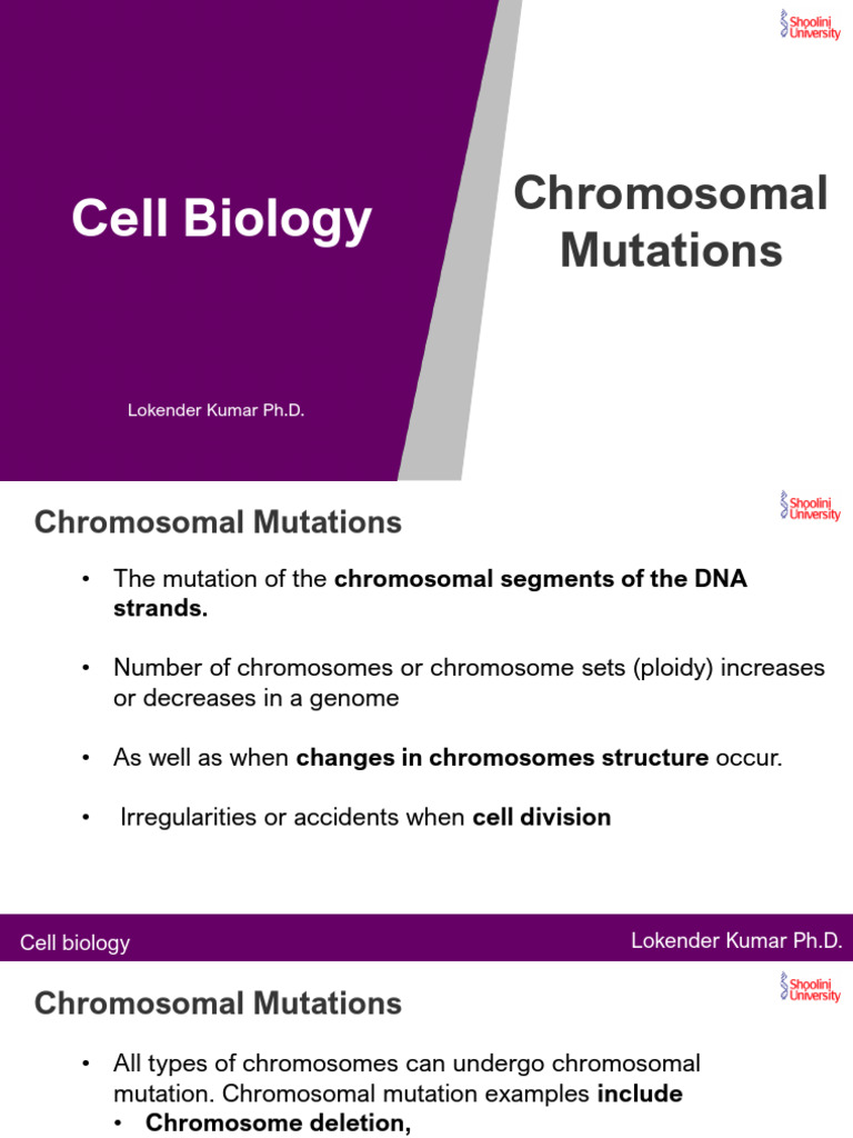 Chromosomal Mutations | PDF | Chromosome | Gene Duplication