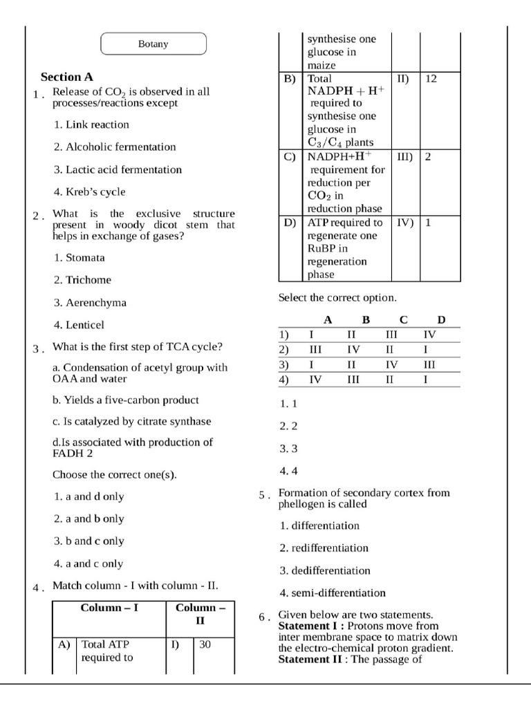 Botany Work Sheet | PDF