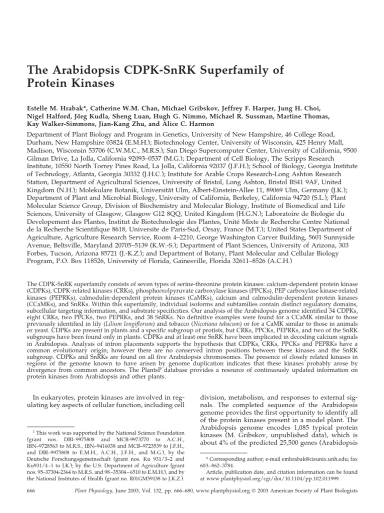 Arabidopsis CDPK-SnRK Kinase Superfamily | PDF | Protein Domain | Kinase