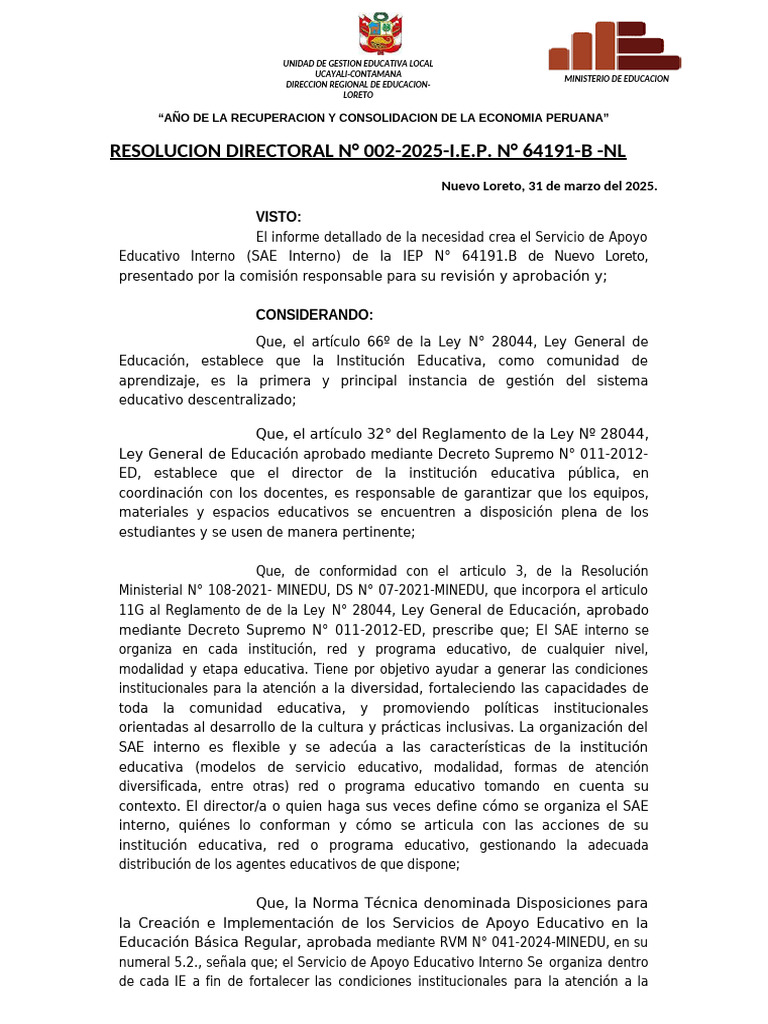 Resolucion Saei 2025 | PDF | Institución