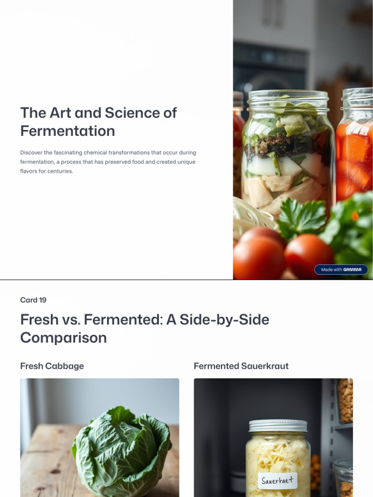 Fermentation: Transforming Food Chemistry | PDF | Fermentation | Taste