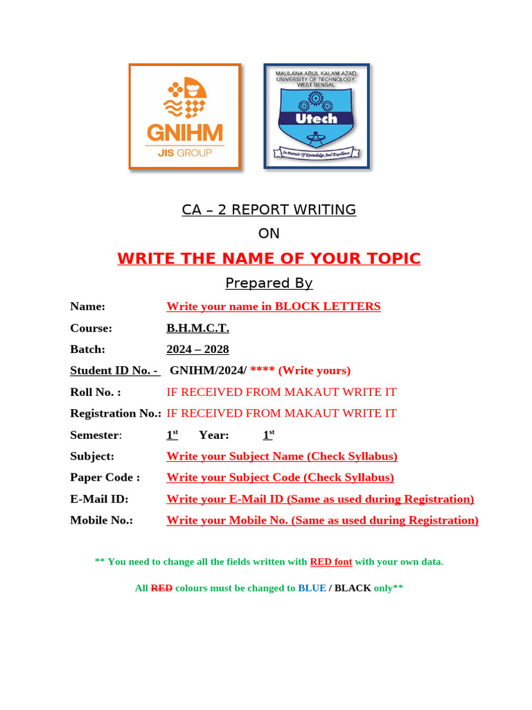 CA-2 Report Writing Template | PDF