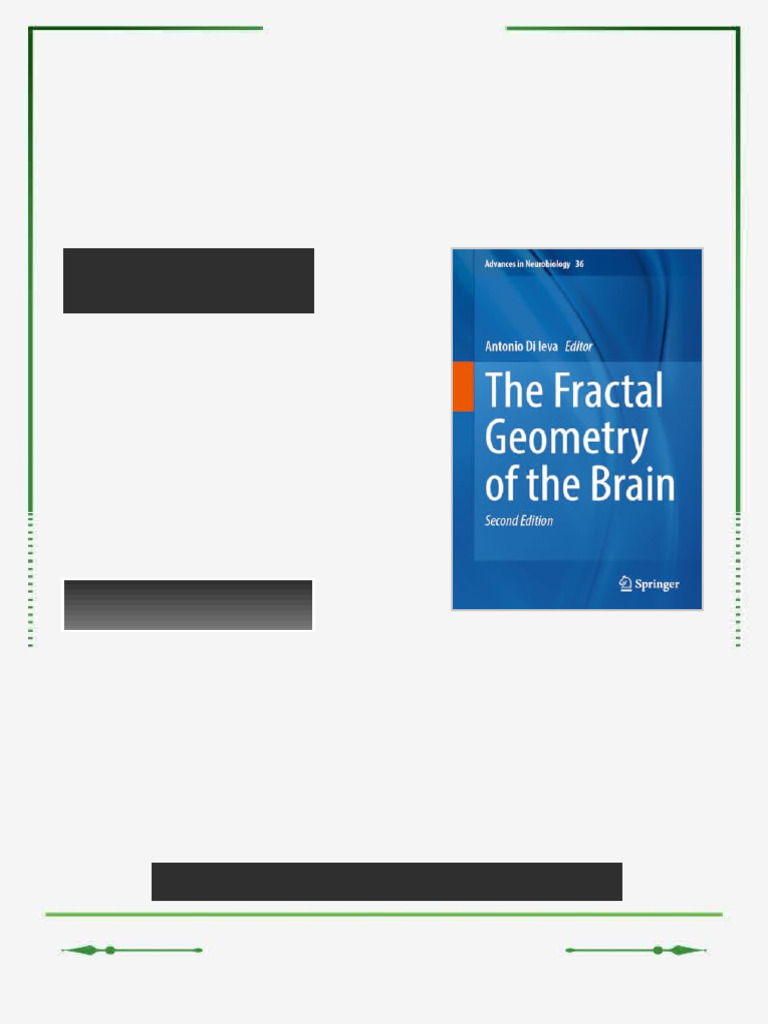 The Fractal Geometry of the Brain (2nd Edition) Antonio Di Ieva eBook ...