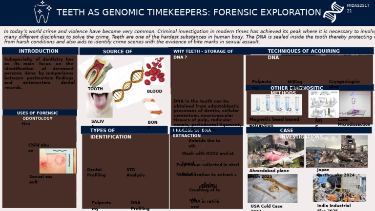 Midas Poster - PDF.PDF - 20251120 - 200258 - 0000 | PDF | Human Tooth ...