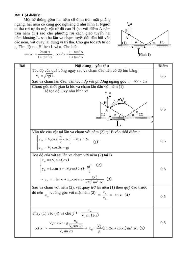 Bình Định-hsg Vl11-2025 - Lqd Binh Dinh Thay Trong | PDF