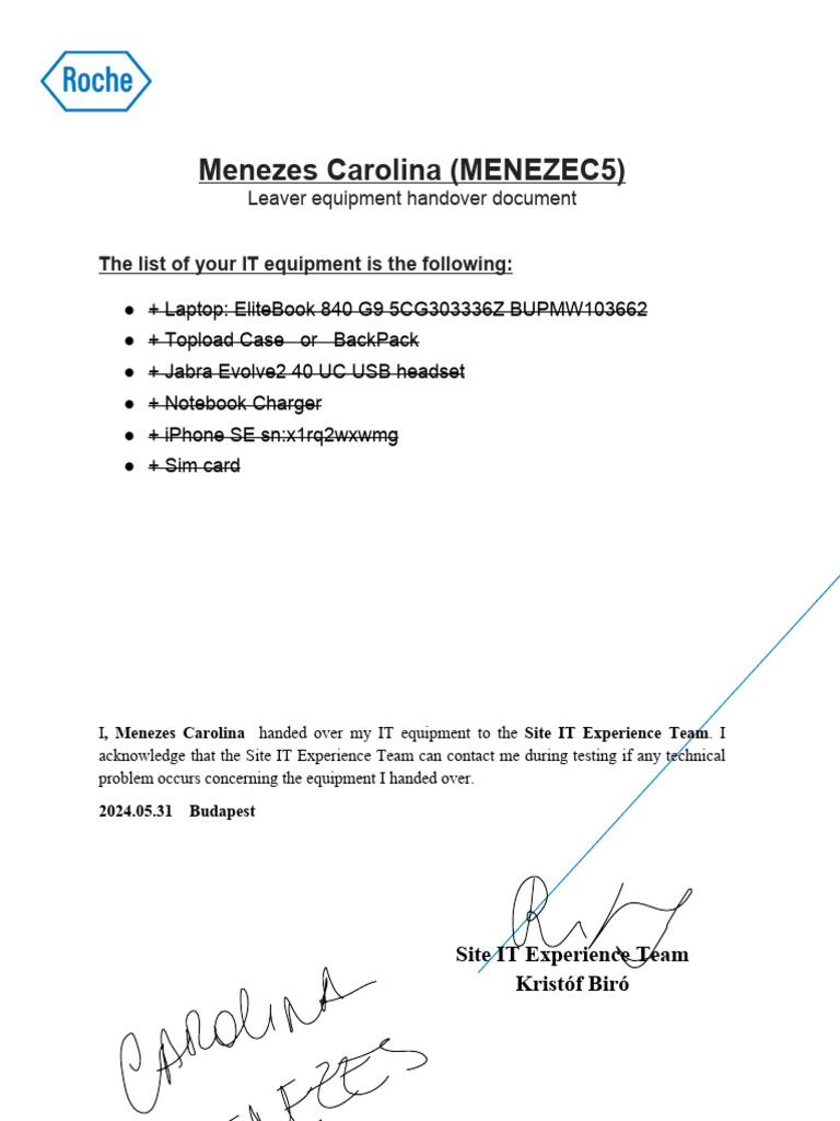 Leaver_handover_Menezes Carolina (MENEZEC5) (1) 2 | PDF