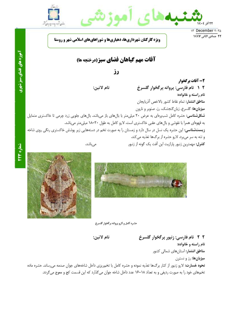 Archips Rosanus: Trichogramma | PDF