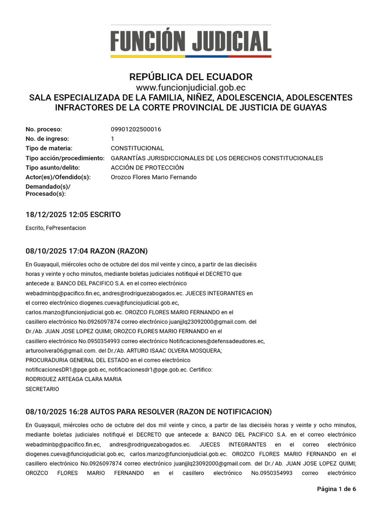 Expel 09901202500016 27549827 22122025 | PDF | Juez | Apelación