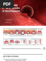 Bilaminar Germ Disc Development Overview | PDF | Embryo | Anatomy