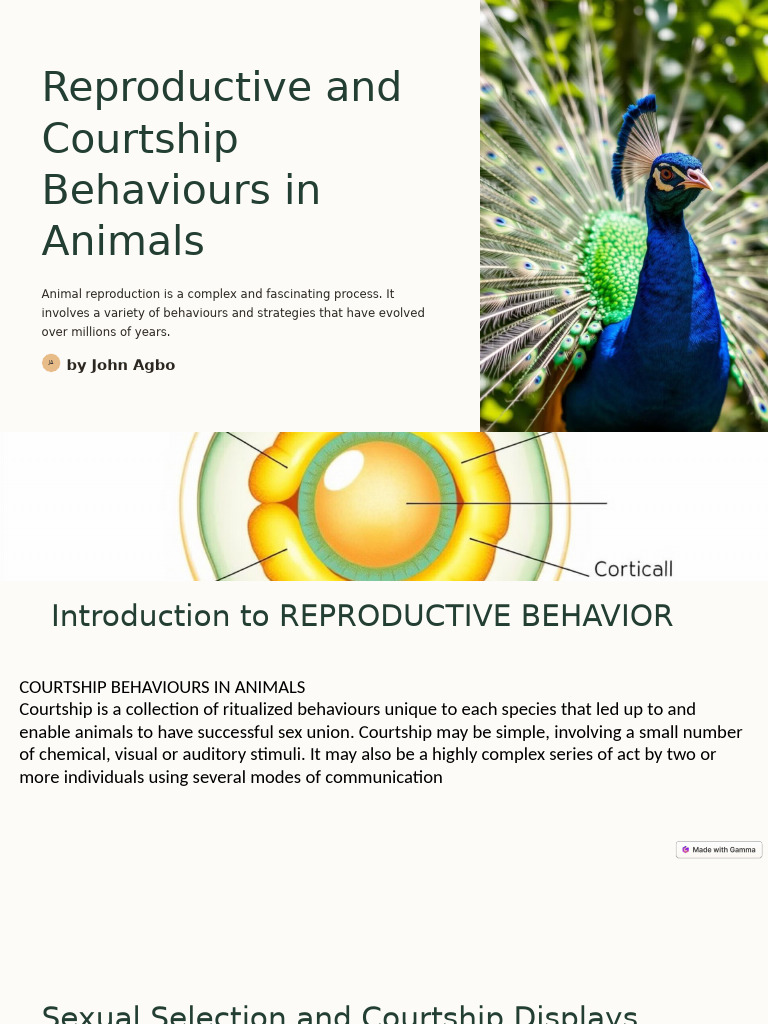 Animal Reproductive and Courtship Behaviors | PDF | Birds | Biological ...