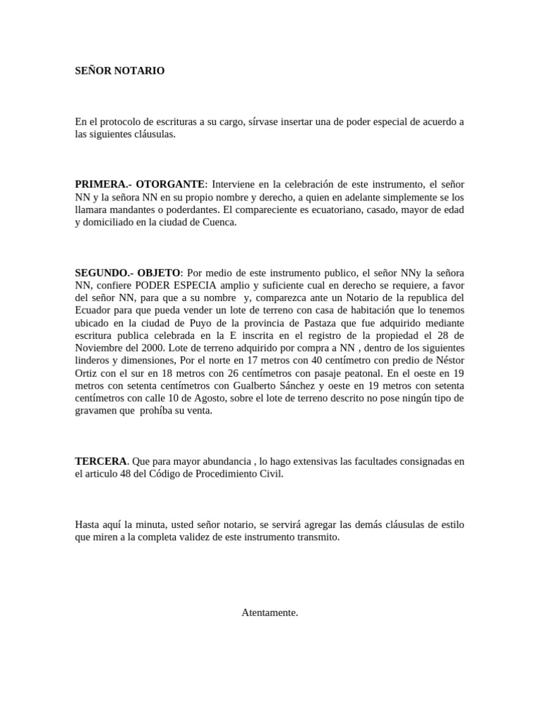 Minuta Poder Especial | PDF