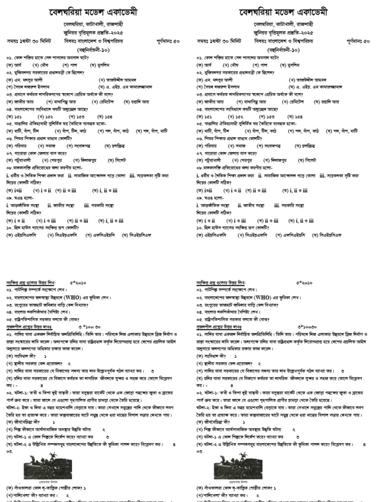 Class 8 BGS | PDF