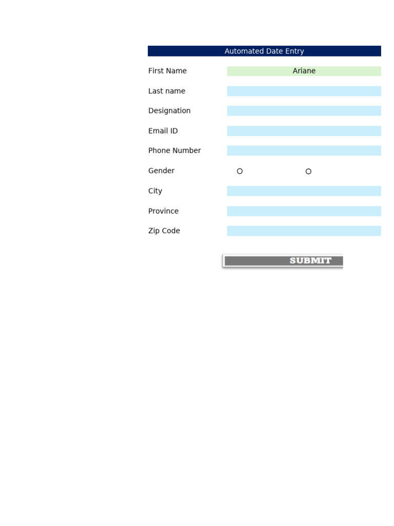 Automated Data Entry Form Template | PDF