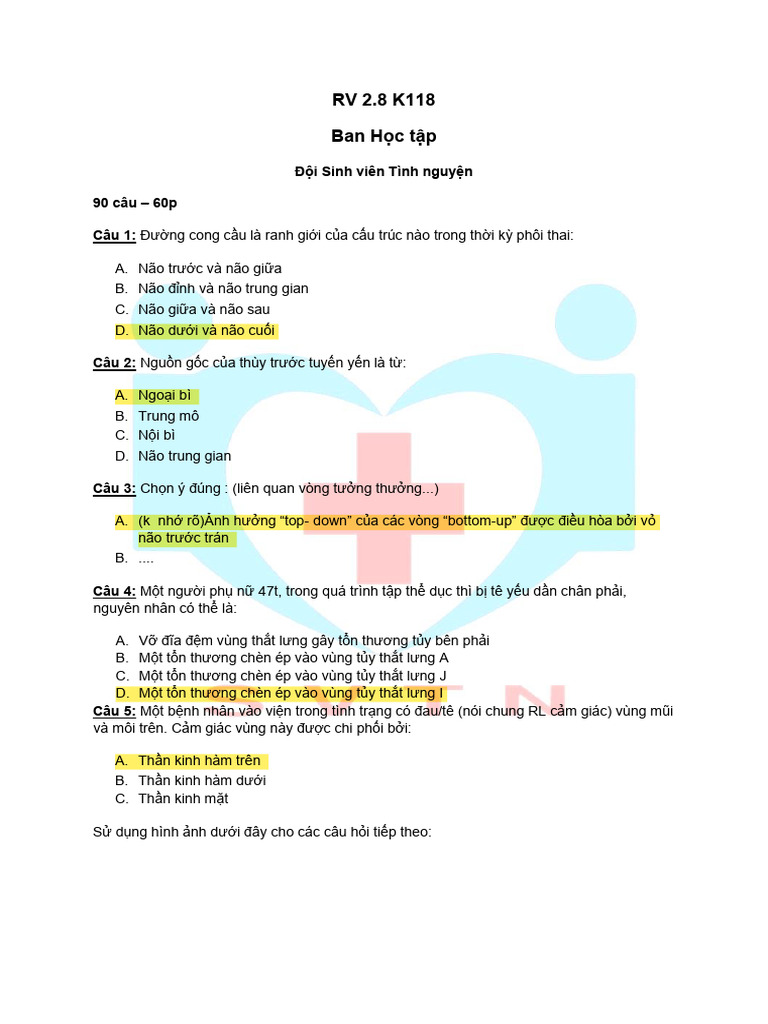 Ans K118 | PDF