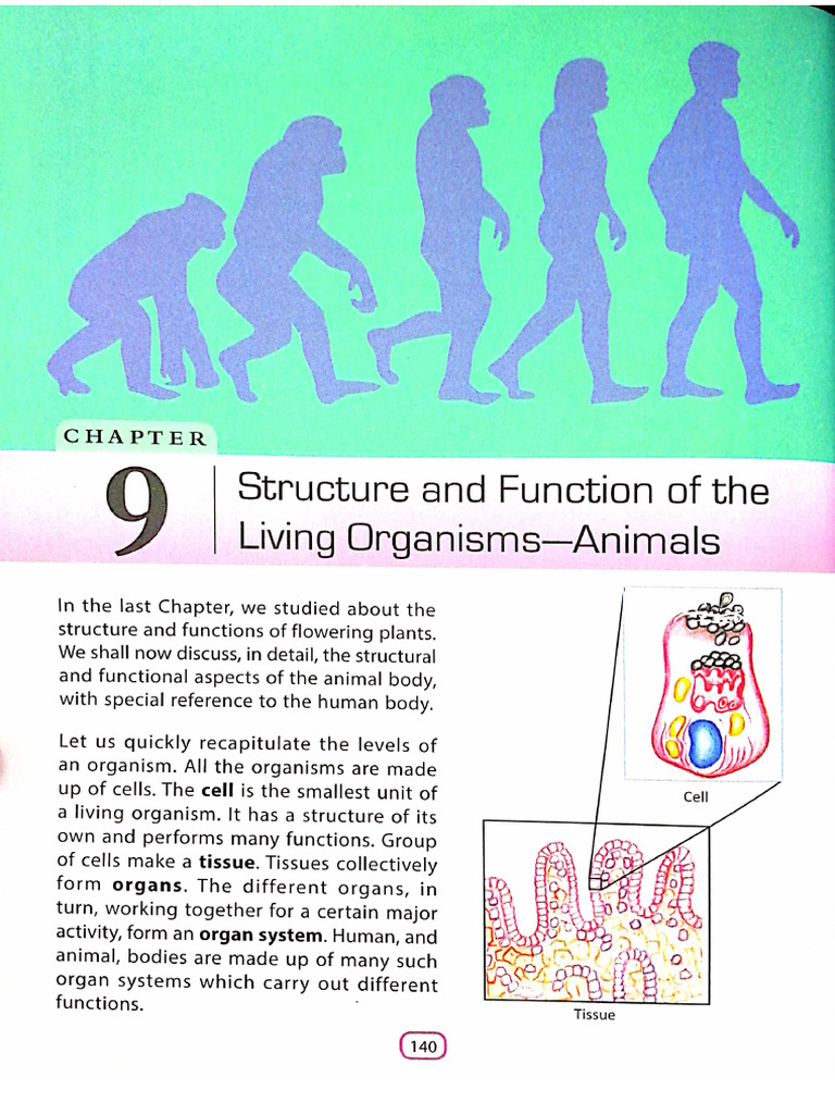 Copy of Structure and Function of the Living Organism-Animals | PDF