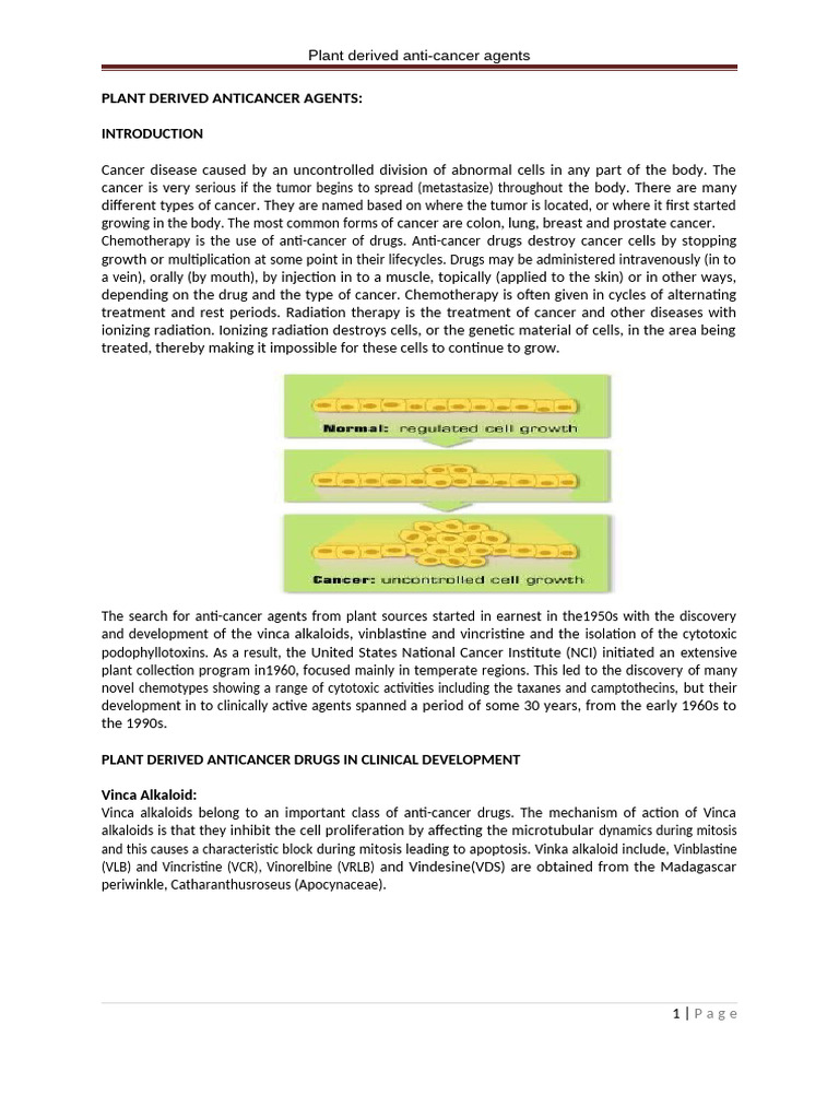 Plant-Based Anti-Cancer Agents Overview | PDF | Chemotherapy | Cancer
