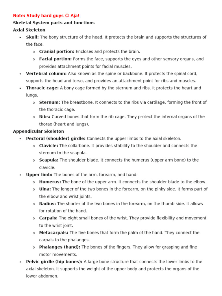 Skeletal System Reviewer | PDF | Human Nose | Skull
