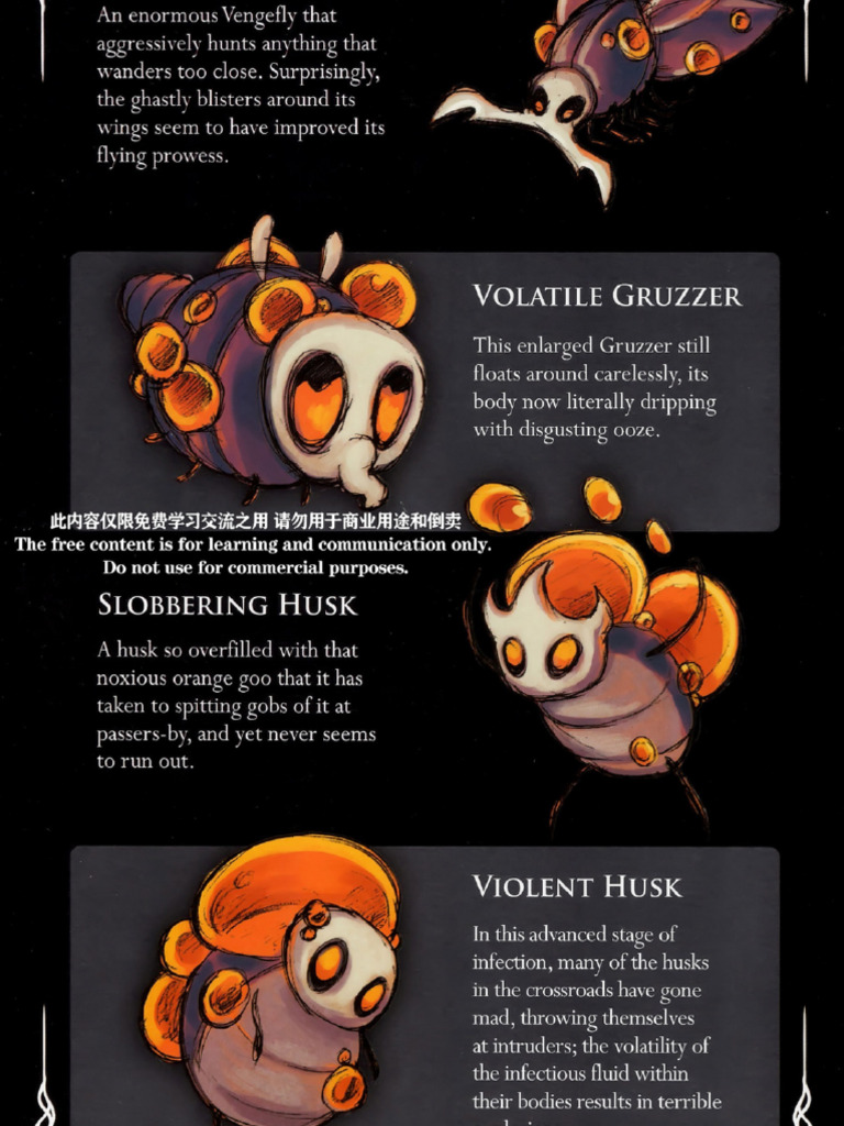 Curriculum Fotografo Moderno Blanco y Negro_20251230_122902_0000 | PDF