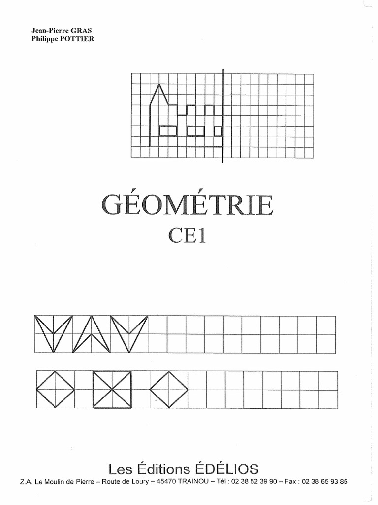 Géométrie CE1 Frise Symétrie Reproduction Edelios | PDF