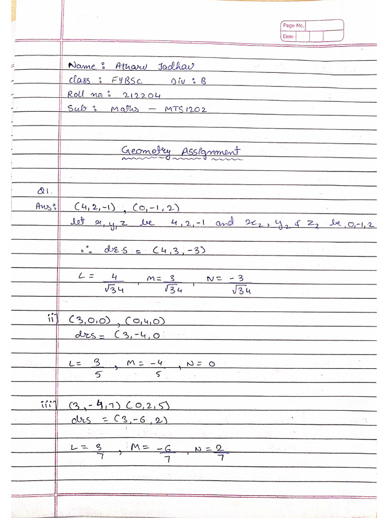 Geometry Assignment (212204) | PDF
