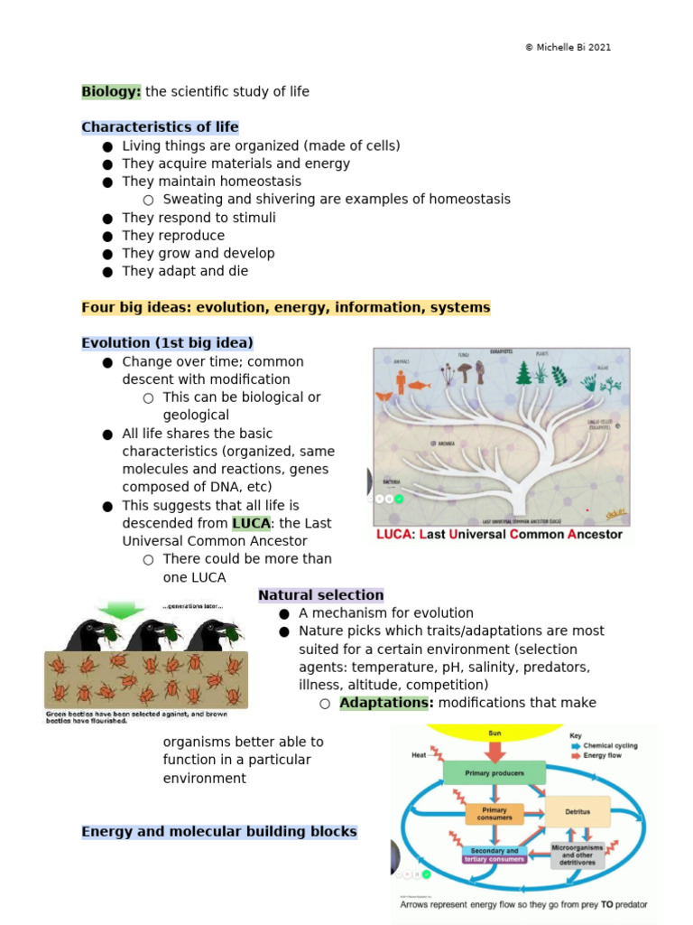 Unit 01 - Chapter 01 (A View of Life) | PDF | Hypothesis | Life