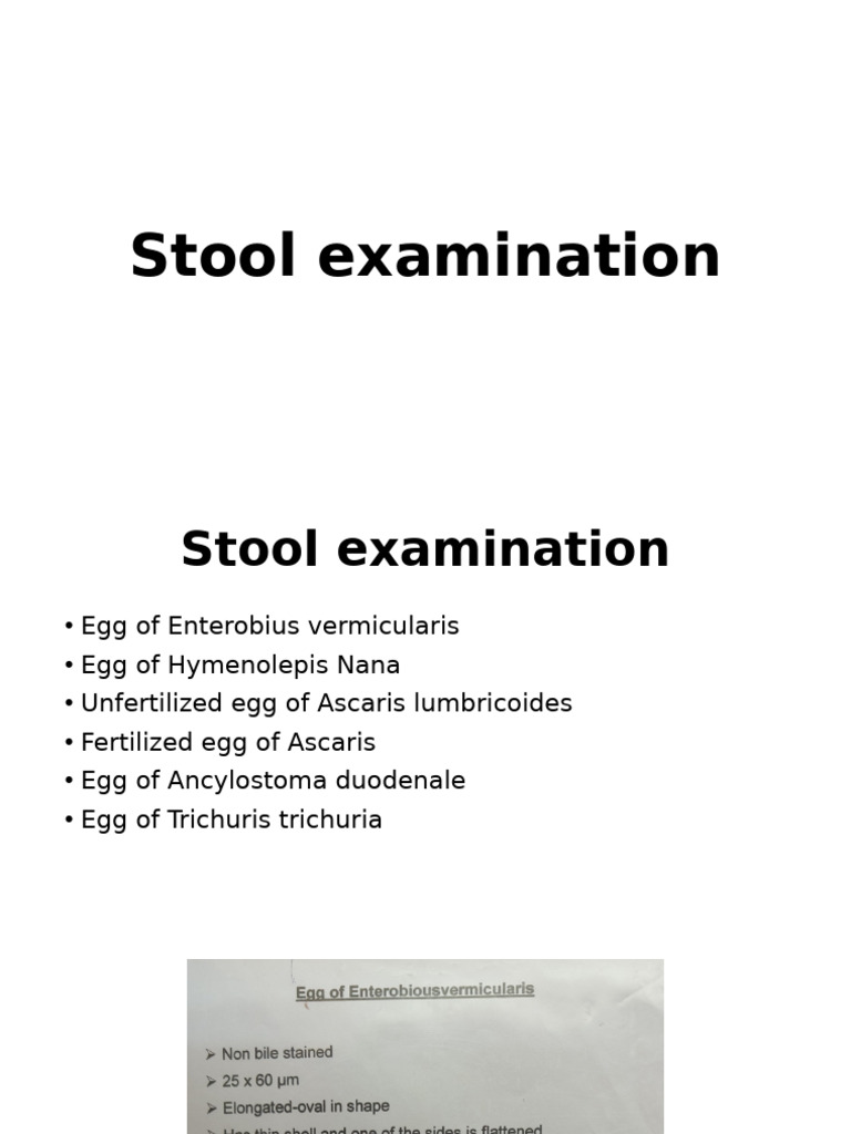 Stool Examination | PDF