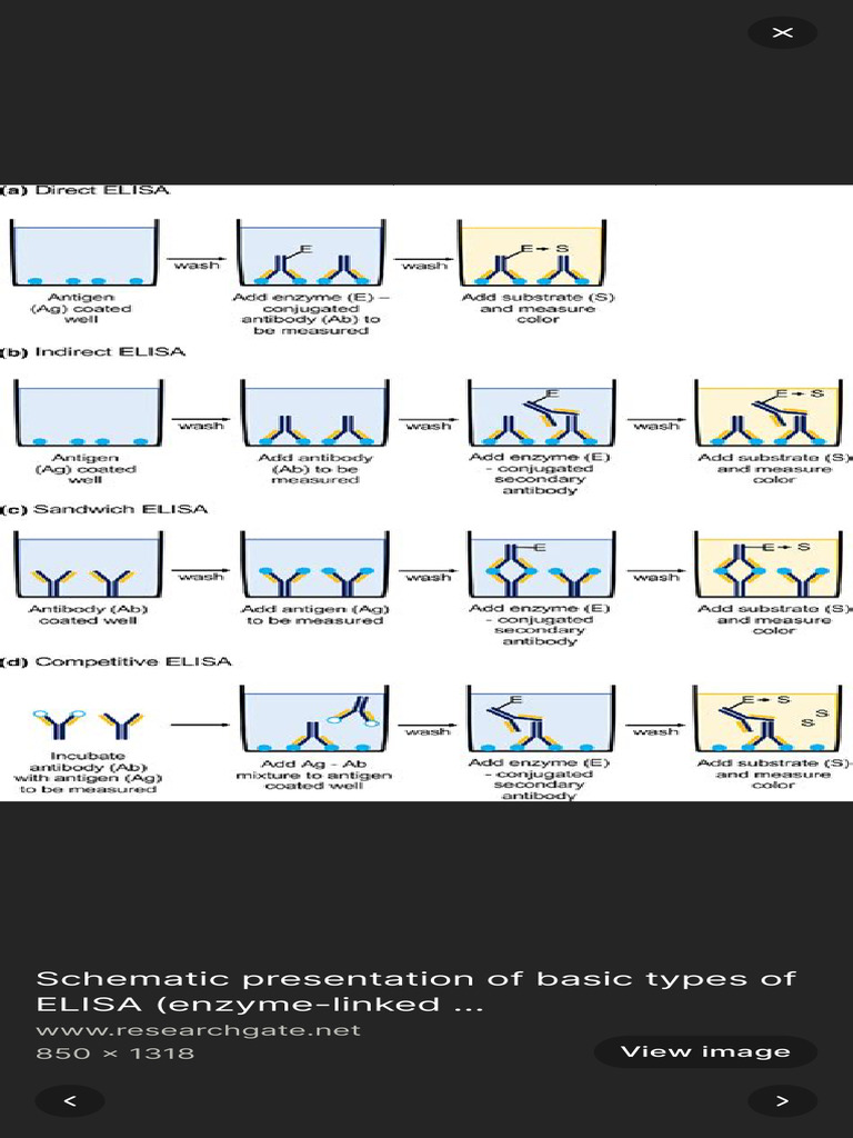 ELISA Types and Principles Overview | PDF