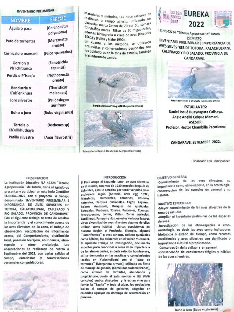 Triptico de Feria de Ciencias | PDF