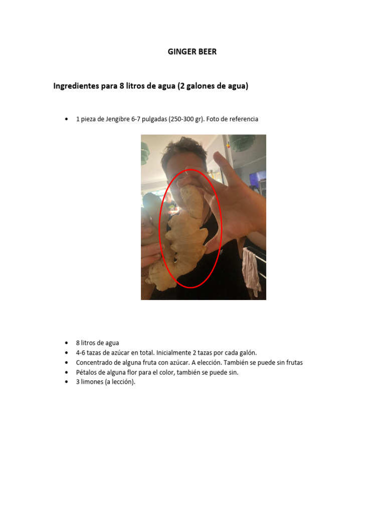 Ginger Beer | PDF