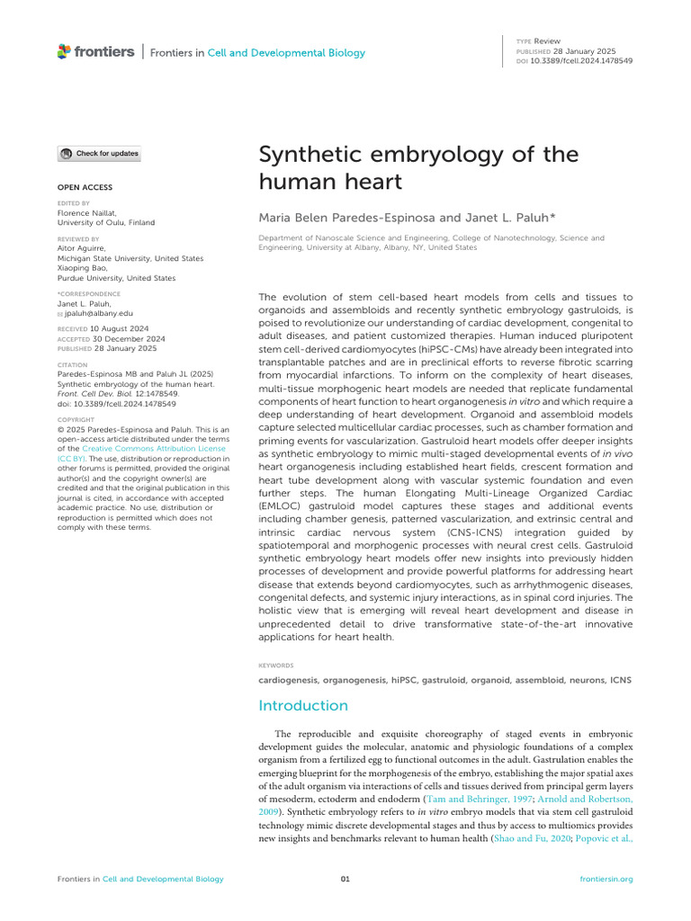 Synthetic Embryology of the Human Heart | PDF | Heart | Cardiac Muscle