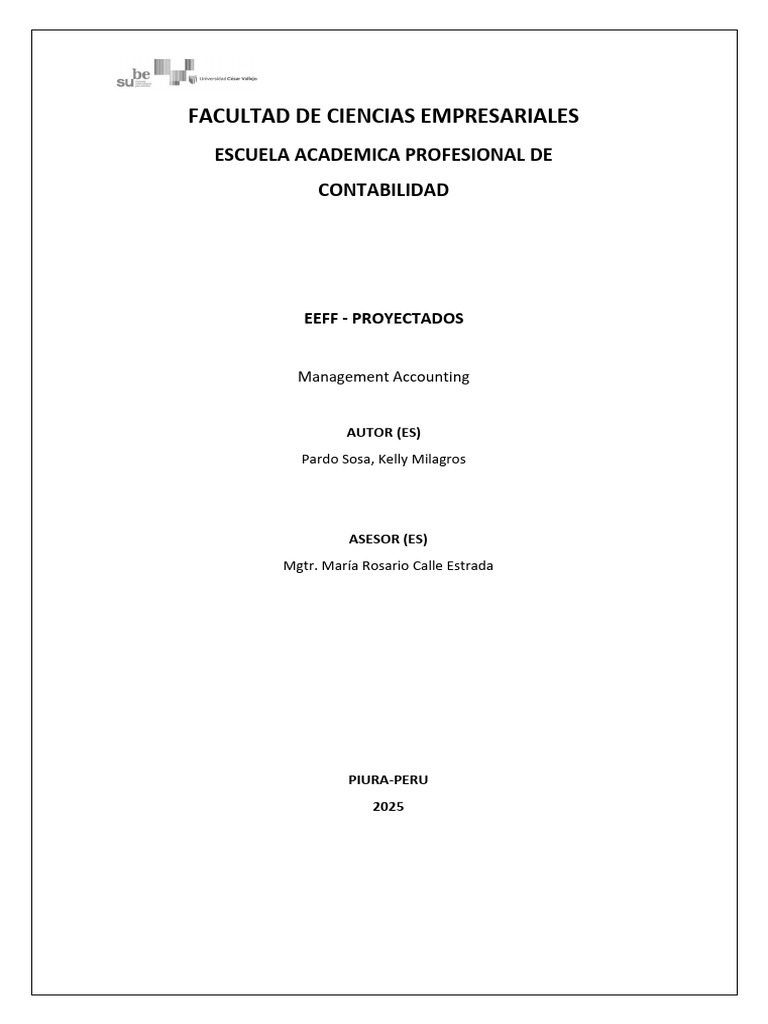 EEFF_Proyect - Kelly Milagros Pardo Sosa | PDF | Economía Financiera ...