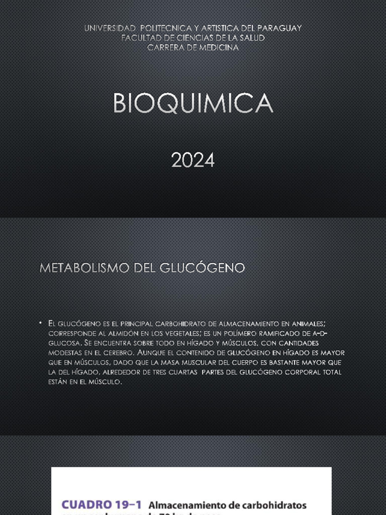 Metabolismo del Glucógeno en Animales | PDF