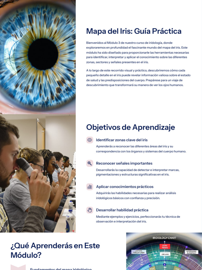 Guía Práctica del Mapa del Iris | PDF