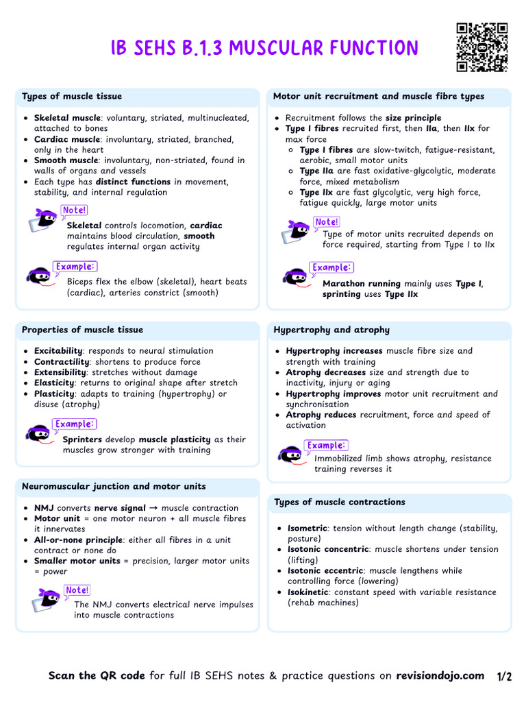 Sports, exercise and health science (SEHS) B.1.3 Muscular function ...