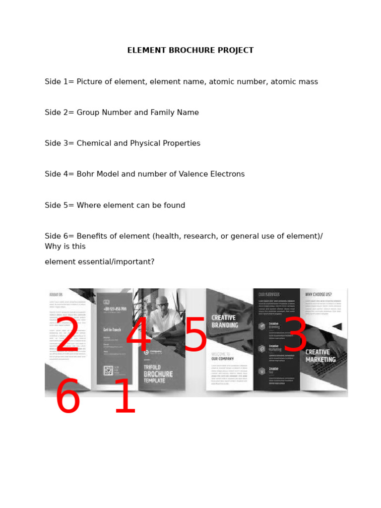 Element Brochure Project | PDF