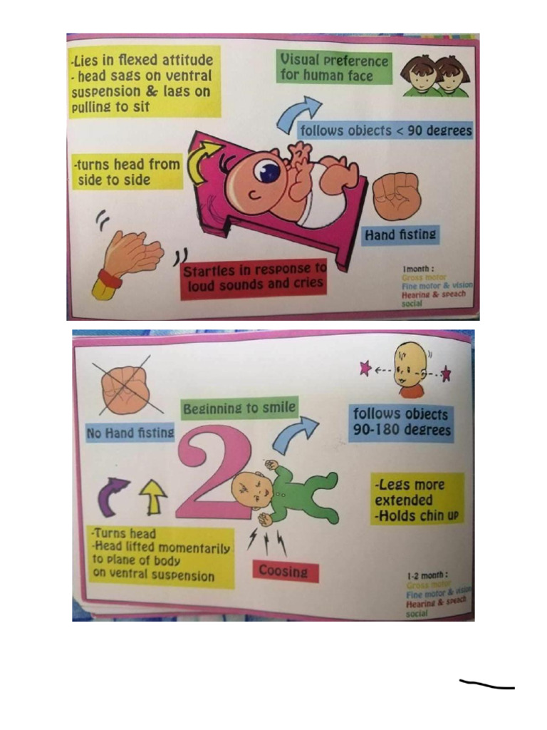 Developmental Chart | PDF