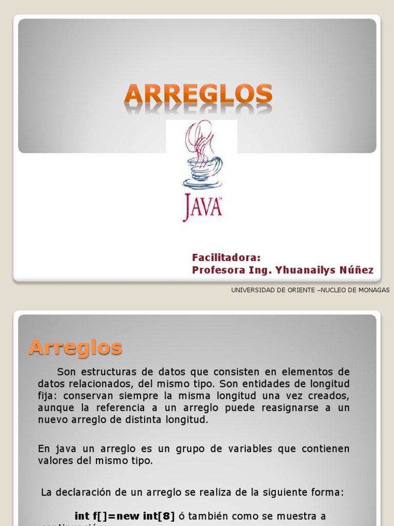 Ordenamiento De Arreglos Pdf Estructura De Datos De Matriz Java Lenguaje De Programación