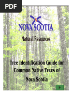 Tennessee Tree Identification Guide | PDF | Trees | Oak