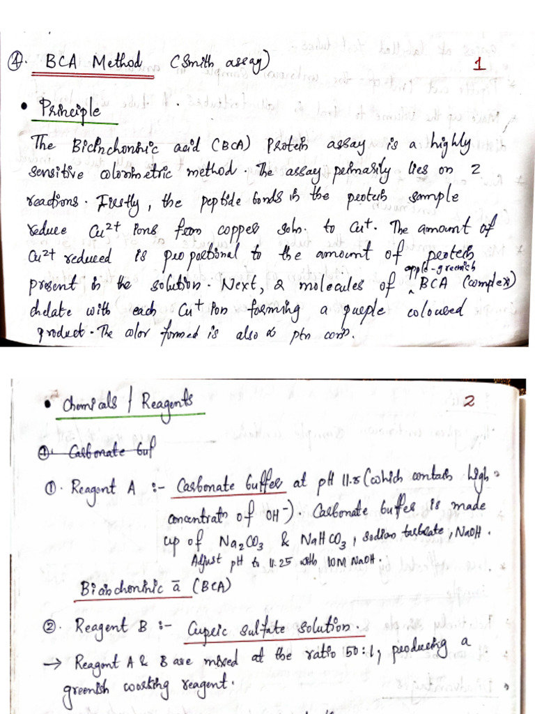 Protein Analysis Methods | PDF