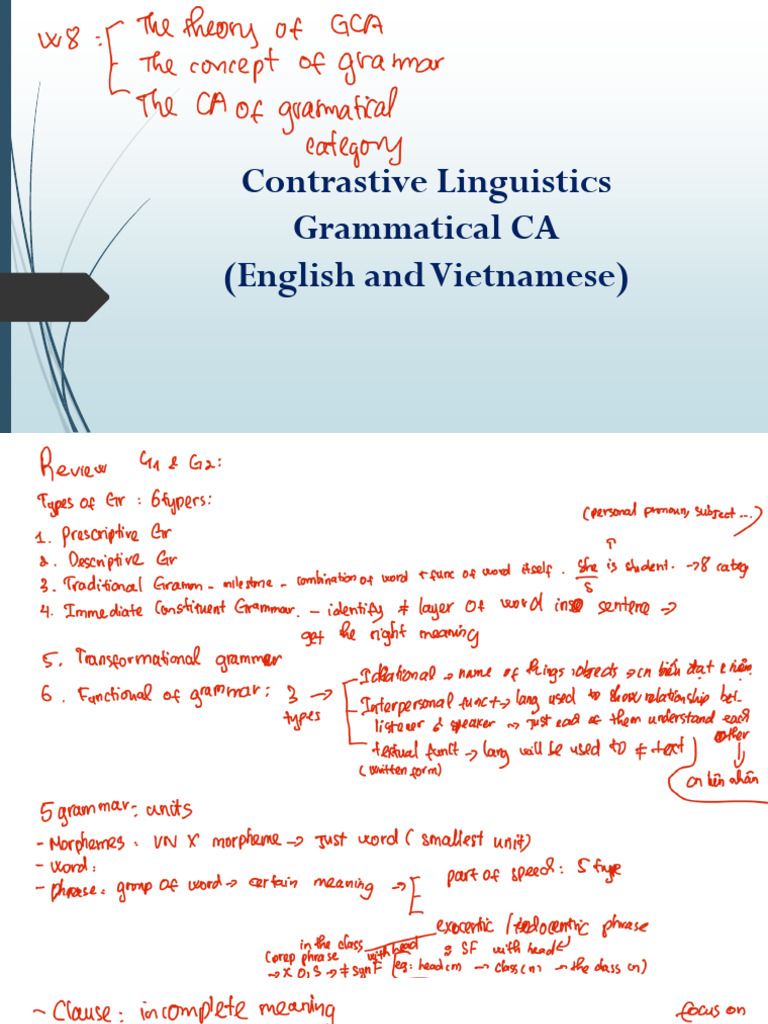 Slides.cq.A21 (Nov. 2024) | PDF | Grammatical Number | Grammatical Gender