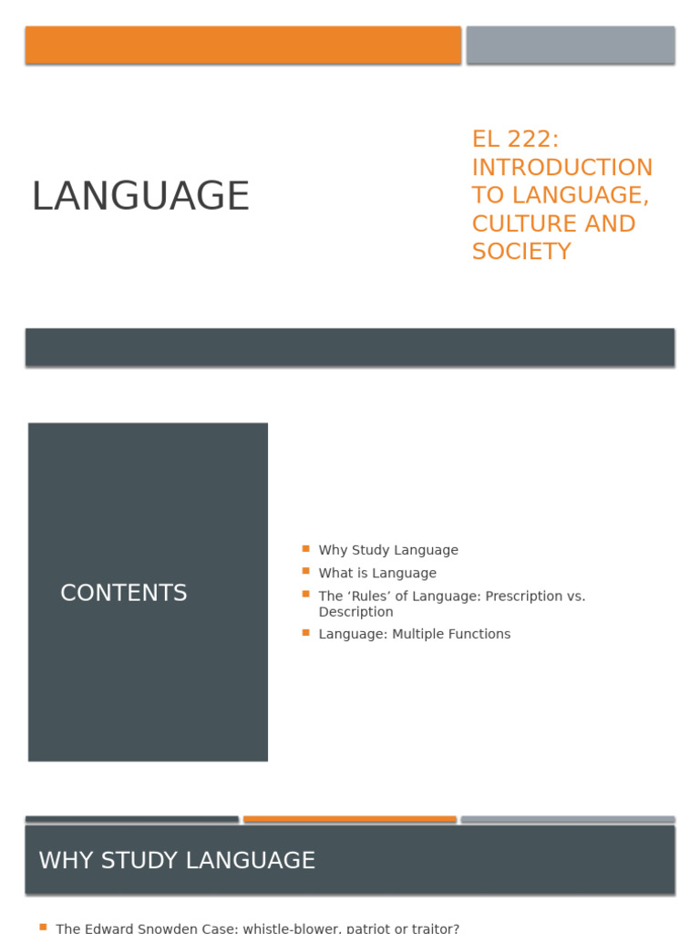 Understanding Language and Its Functions | PDF