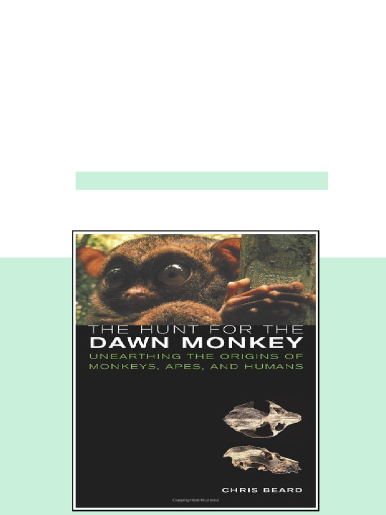 (Ebook) The Hunt for the Dawn Monkey: Unearthing the Origins of Monkeys ...