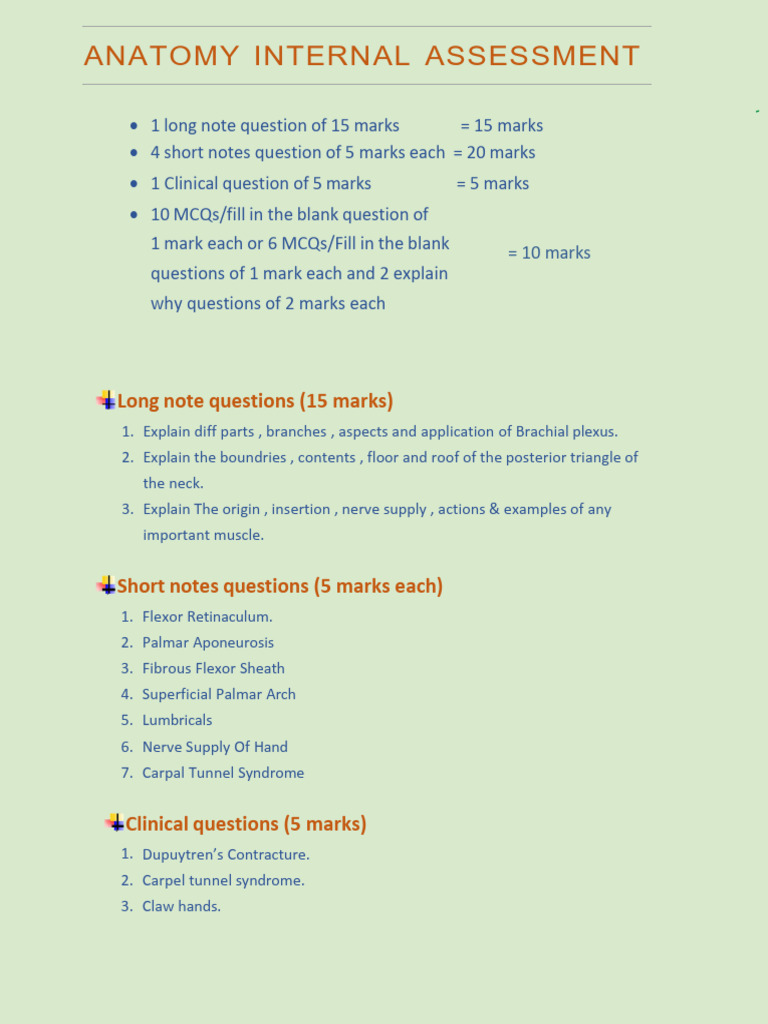 Anatomy Internal Assessment | PDF