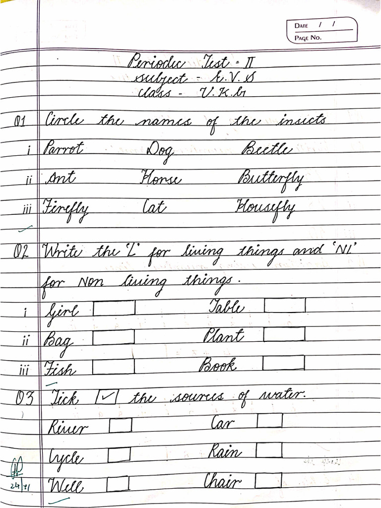 EVS Worksheet | PDF