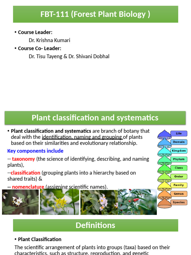 Plant Classification and Systematics Guide | PDF | Taxonomy (Biology ...