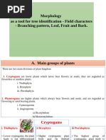 Leaf and Leaflet Morphology Guide | PDF | Leaf | Branches Of Botany